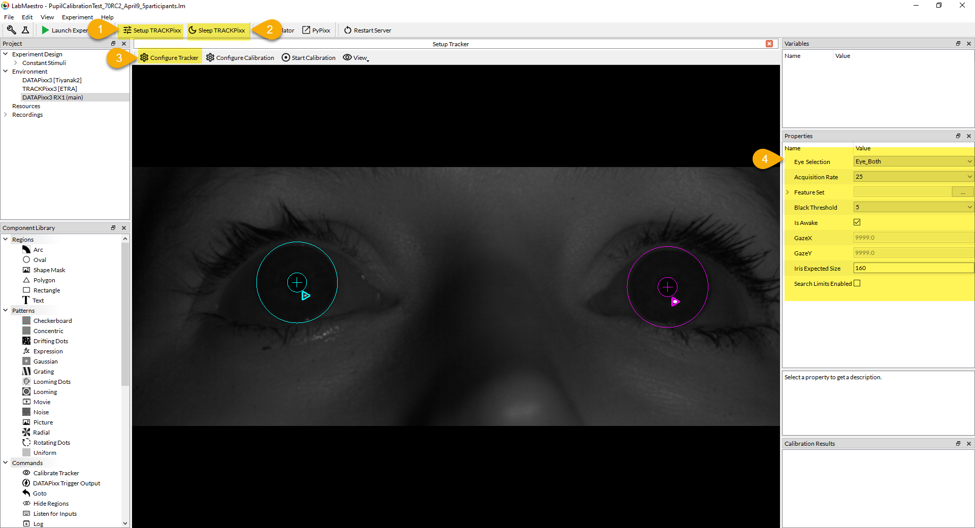 Using the TRACKPixx3 within LabMaestro